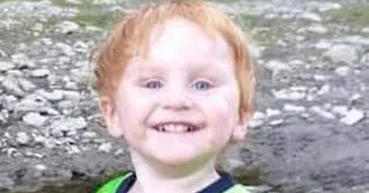 Where Is Ryker Webb Now? Survived Wilderness at 3 Years Old