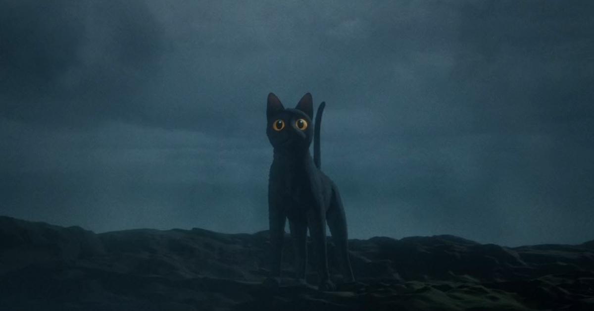 What Happened to the Bird In Flow? – VisionViral.com