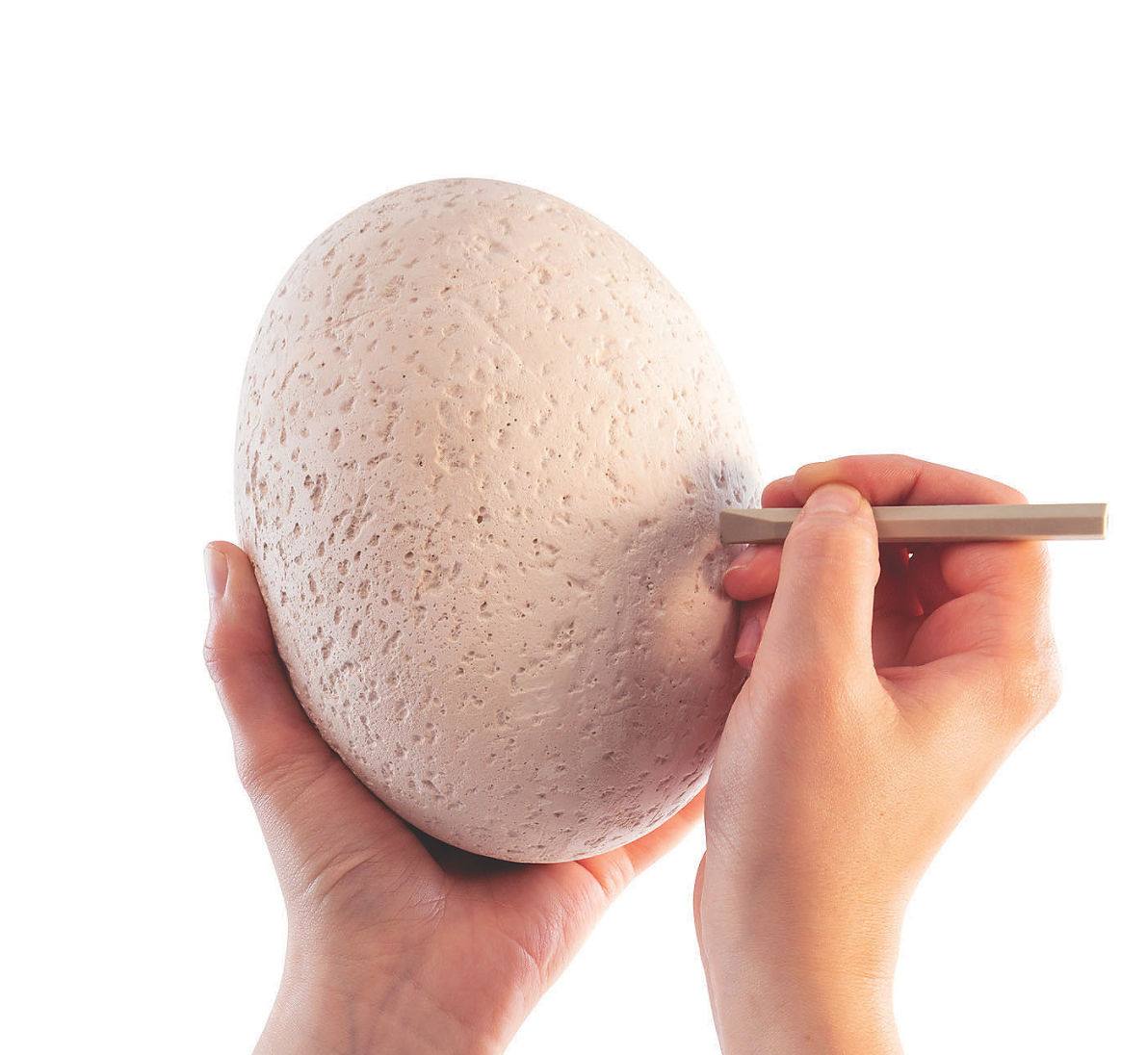 What's the Money Egg on TikTok? An Investigation