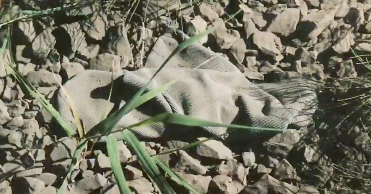 What Happened to Leah Freeman? A '20/20' Special Has Answers