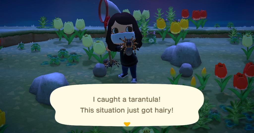 How to Make Any Island Into a Tarantula Island in 'Animal Crossing'