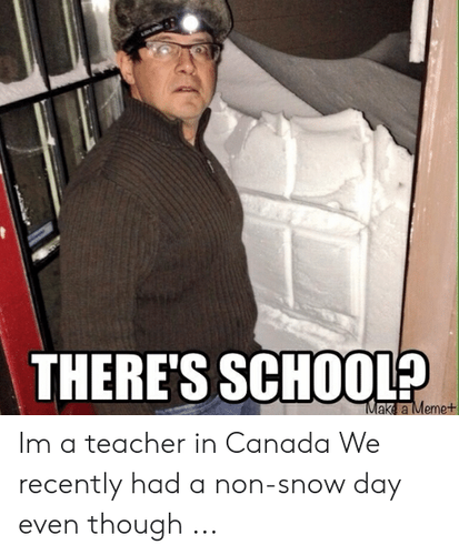 19 Snow Day Memes to Keep You Occupied While You're Stuck Inside