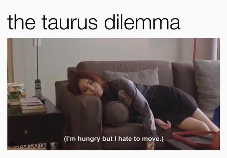 10 Totally Relatable Taurus Season Memes to Send to Your Besties!