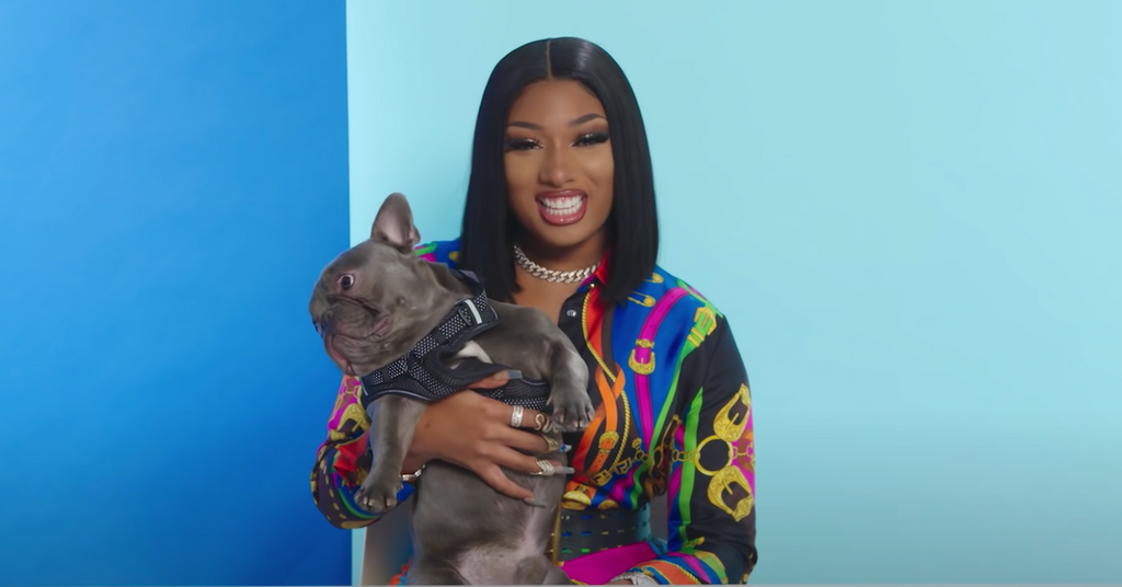 Does Megan Thee Stallion Have Kids? The Rapper Has Five "Sons"
