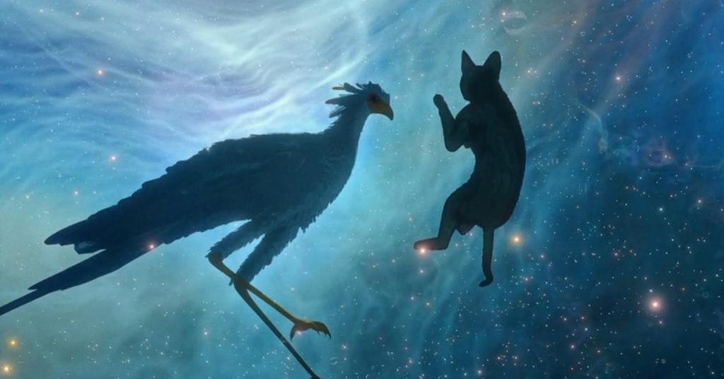 What Happened to the Bird In Flow?