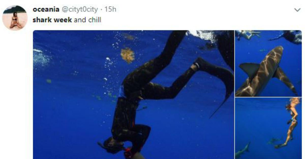 30 'Shark Week' Memes to prepare you for binge-watching Discovery Channel