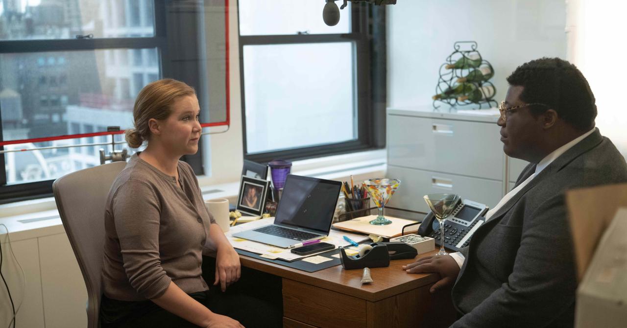 Is 'Life & Beth' a True Story? Creator Amy Schumer Weighs in