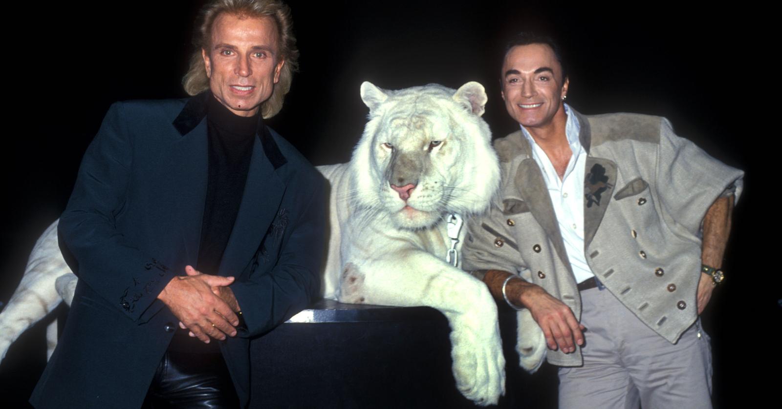 What Happened To Siegfried and Roy? Their Careers Ended Suddenly