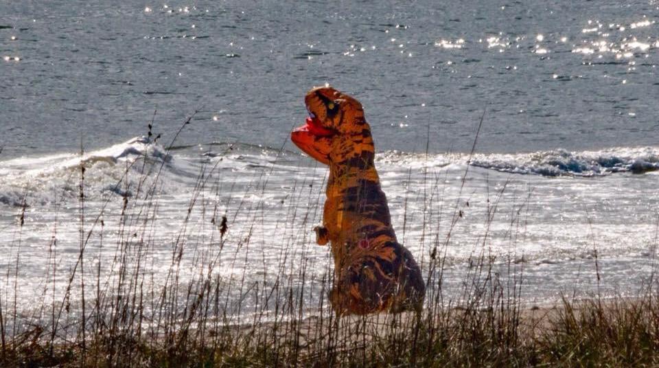 The Most Bizarre, Silly Things People Have Seen on the Beach