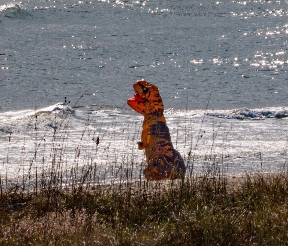 The Most Bizarre, Silly Things People Have Seen on the Beach