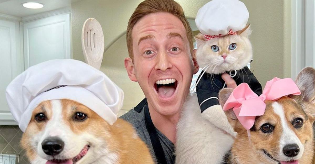 What Happened to Olivia the Corgi of Olivia and Hammy?