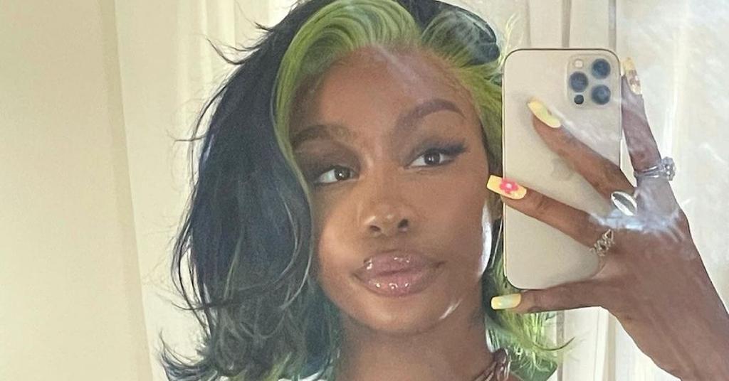 Is SZA Dating Anyone? Fans Believe That SZA and Kehlani Are Together