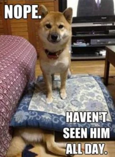 Happy Siblings Day Memes Every Brother and Sister Can Relate To!