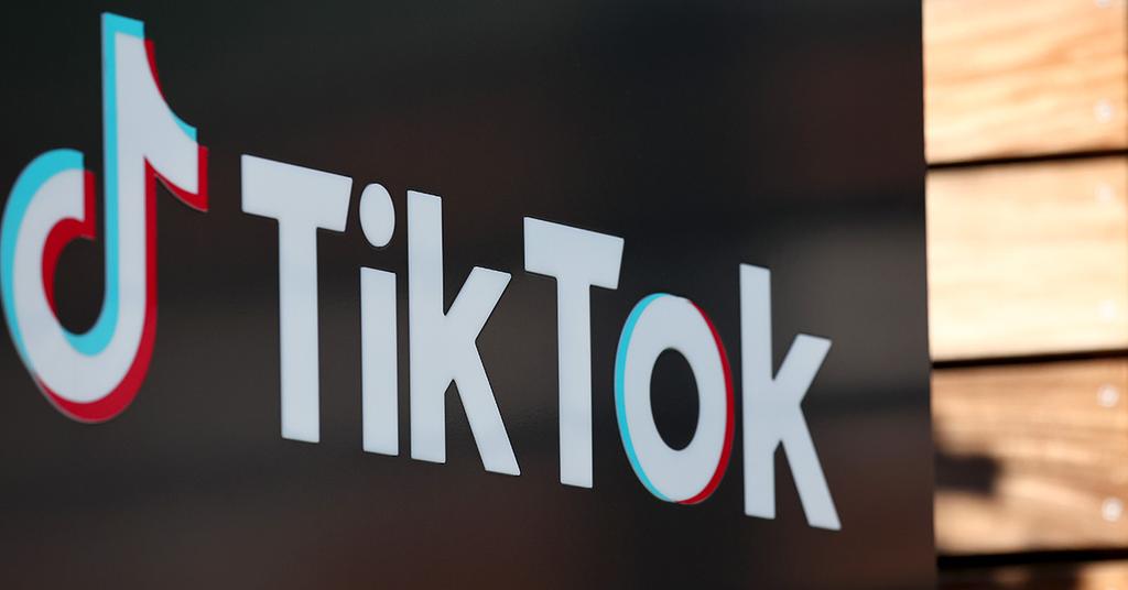 Winnie the Pooh Pathology Test Is a Hit on TikTok — Details