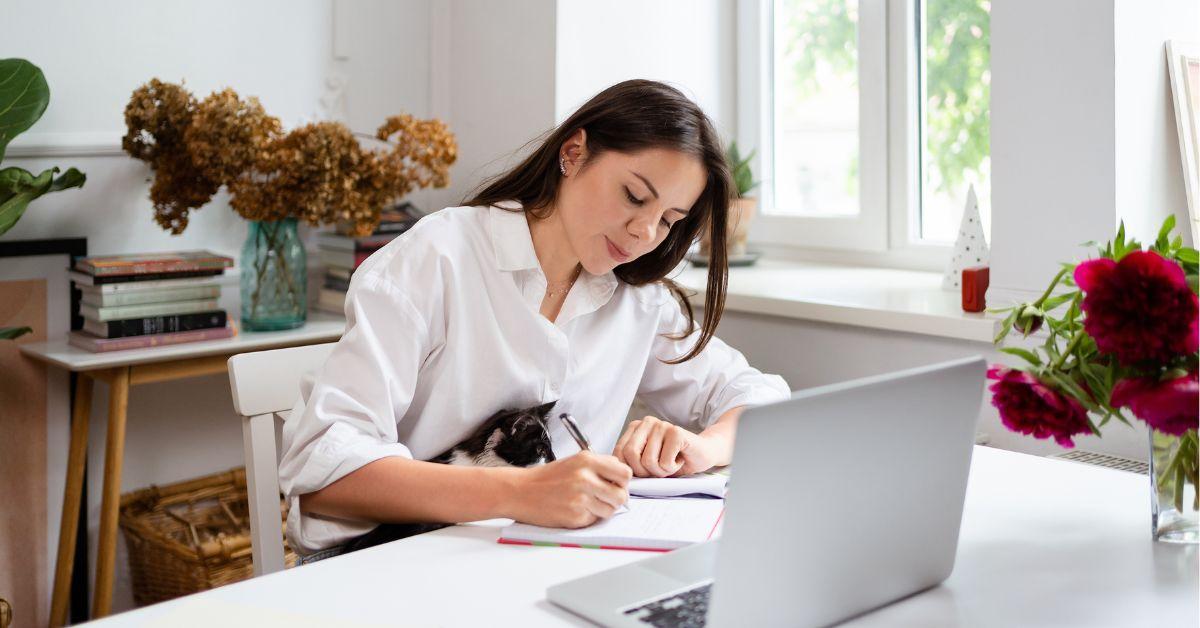 New Employee Reprimanded for Cat Appearing on Zoom Call