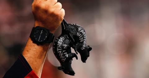 Why Do Panthers Fans Throw Rats on the Ice? Inside the Tradition