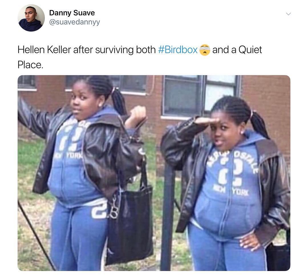 'Bird Box' Memes: 17 Hilarious Takes on the Netflix Horror Movie