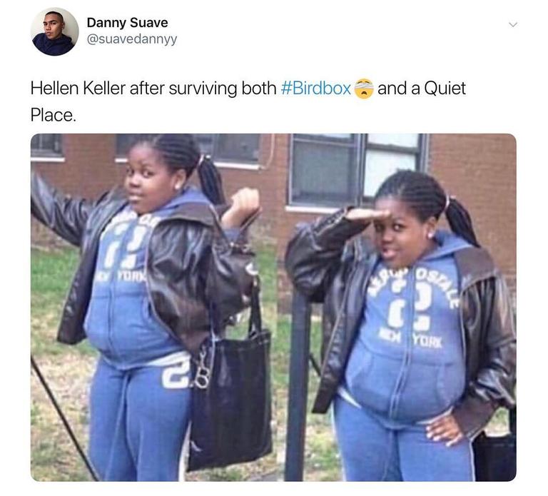 'Bird Box' Memes: 17 Hilarious Takes on the Netflix Horror Movie