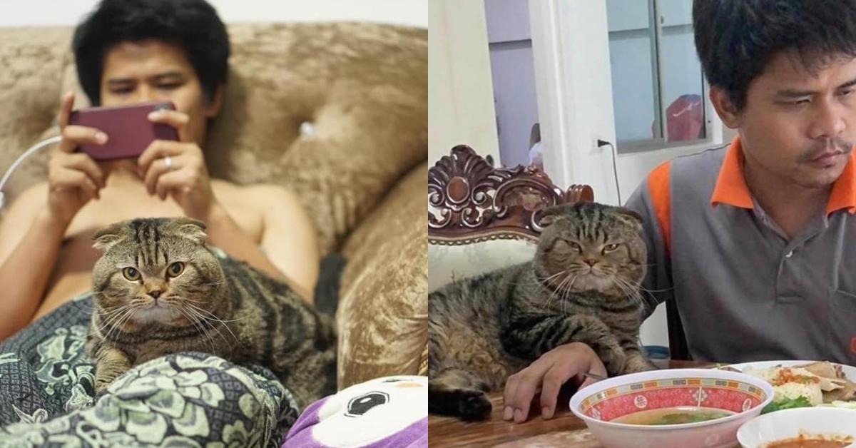 This Woman's Cat Has Stolen Her Husband From Her