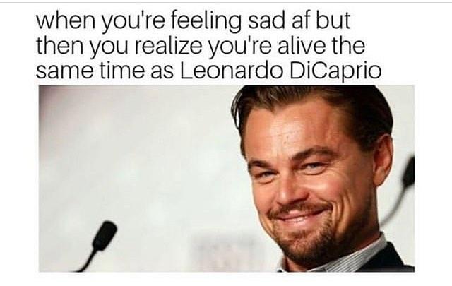 Leonardo DiCaprio Memes: Only the Best for Hollywood's Best