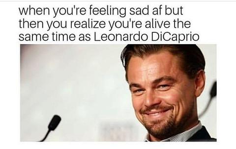 Leonardo DiCaprio Memes: Only the Best for Hollywood's Best