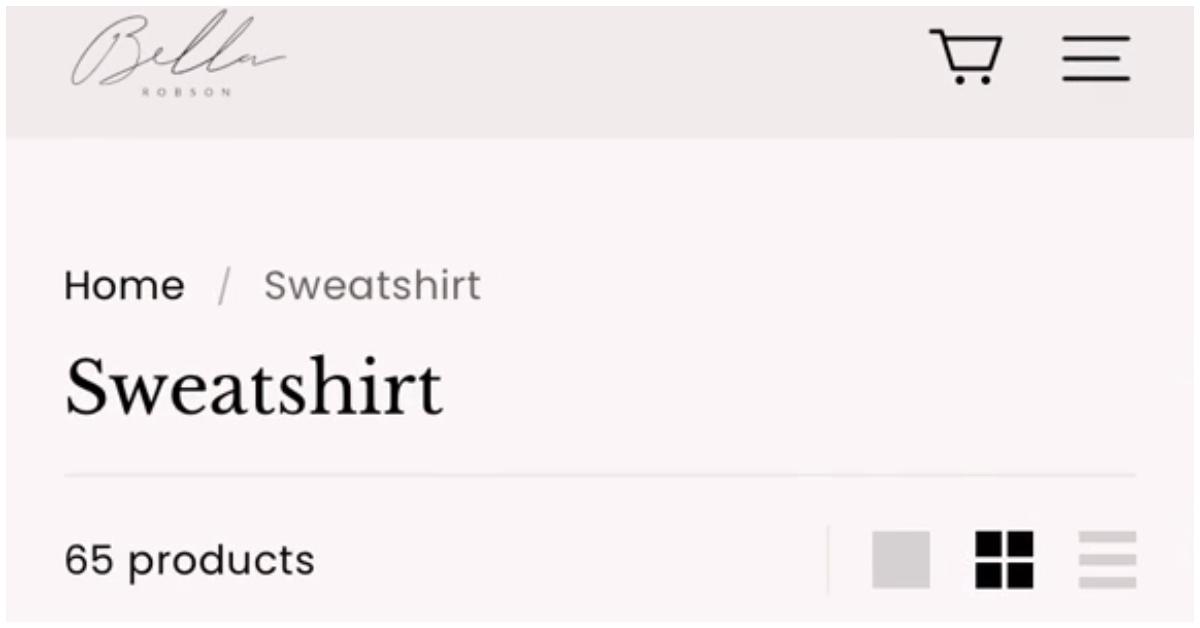 Inside the Bella Robson Clothing Scam Allegations