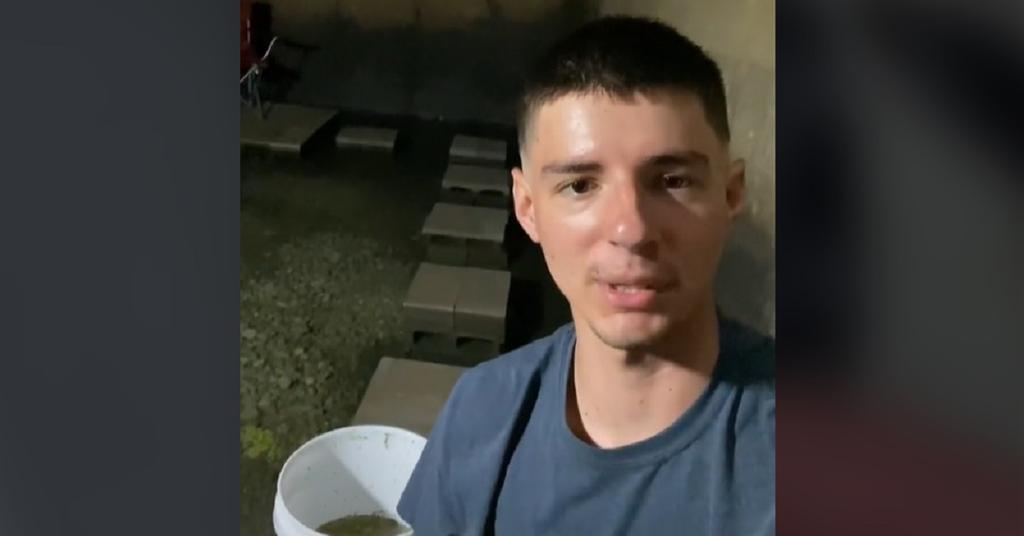 A Man on TikTok Is Making an Eel Pit in His Basement