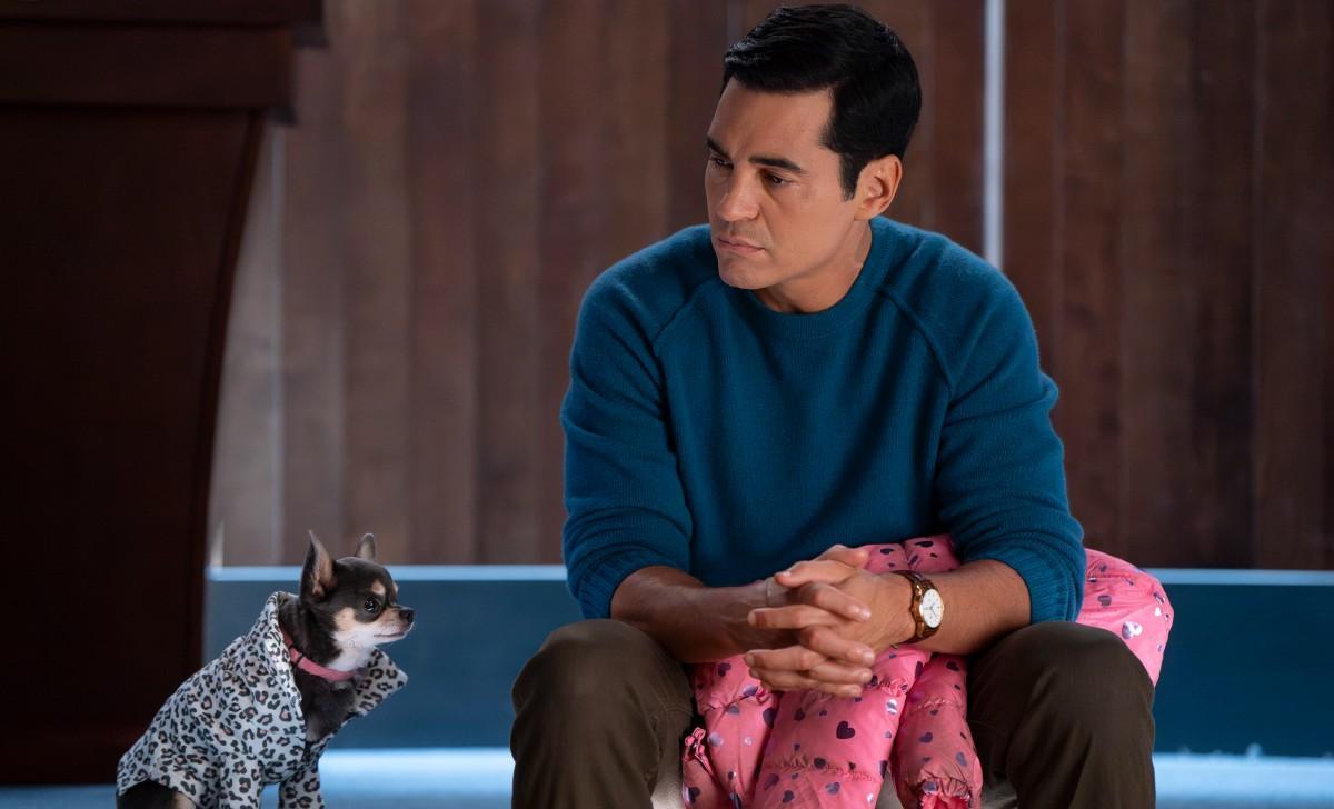 What Kind of Dog Is Betty on Will Trent? Meet the Real Pup