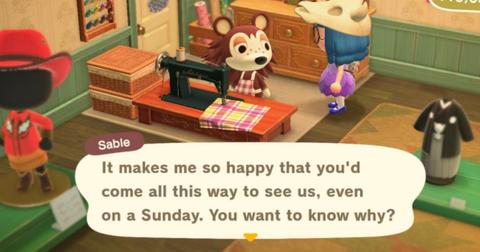 In ‘Animal Crossing: New Horizons,’ Talk to Sable to Get Patterns