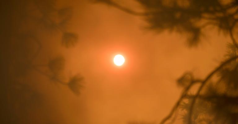 What's Going to Happen on September 24? The Date's Going Viral