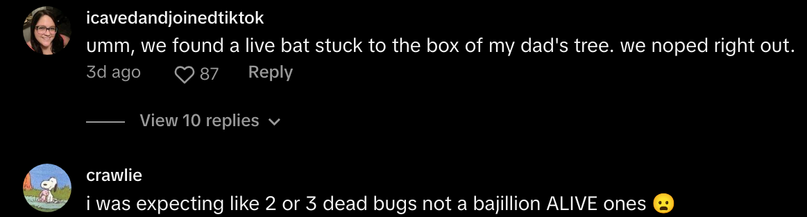 Woman Finds Termites in Christmas Ornaments