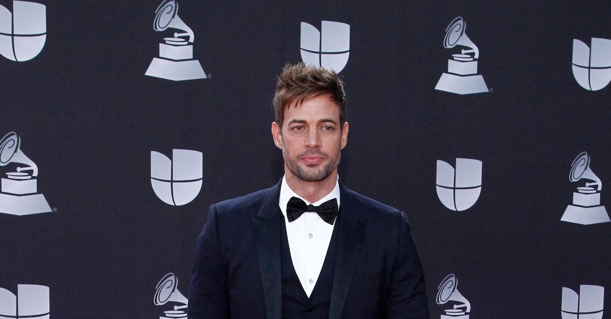 Here's Why Actor William Levy Was Arrested