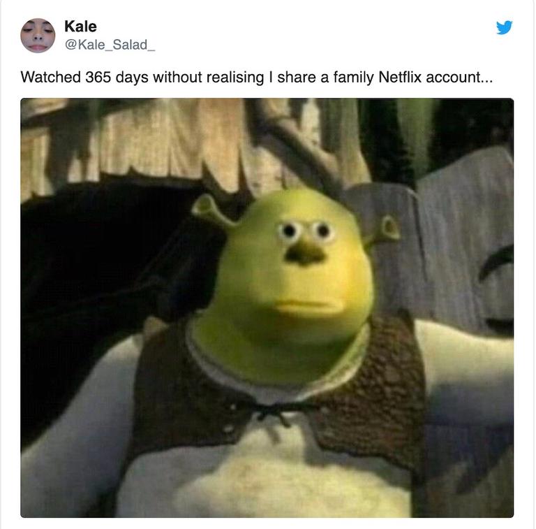 Best '365 DNI' Memes — Are You Lost, Baby Girl? Tweets and Jokes