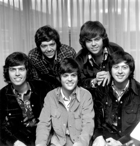 How Many Osmonds Are There? They Are One of Hollywood's Largest Clans
