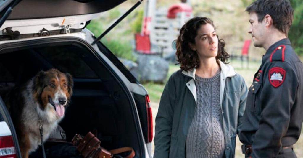 Is 'Rescued by Ruby' a True Story? Details on Grant Gustin Netflix Film