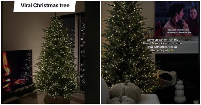 This is the Viral Christmas Tree on TikTok — Good Luck Getting It