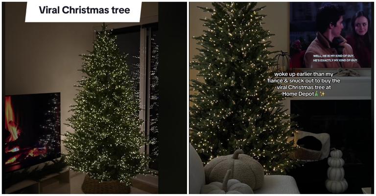 This is the Viral Christmas Tree on TikTok — Good Luck Getting It