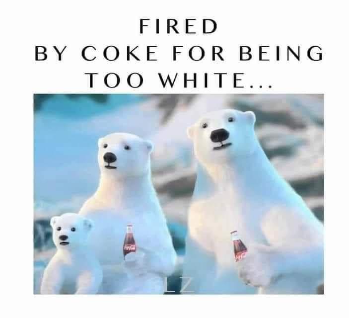 Why Did Coca-Cola Stop Using Polar Bears? Is It to Be Why Did Coca-Cola Stop Using Polar Bears? Is It to Be