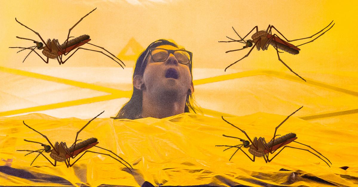 Mosquitos Hate Dubstep so Much They Stop Mating Once They Hear It