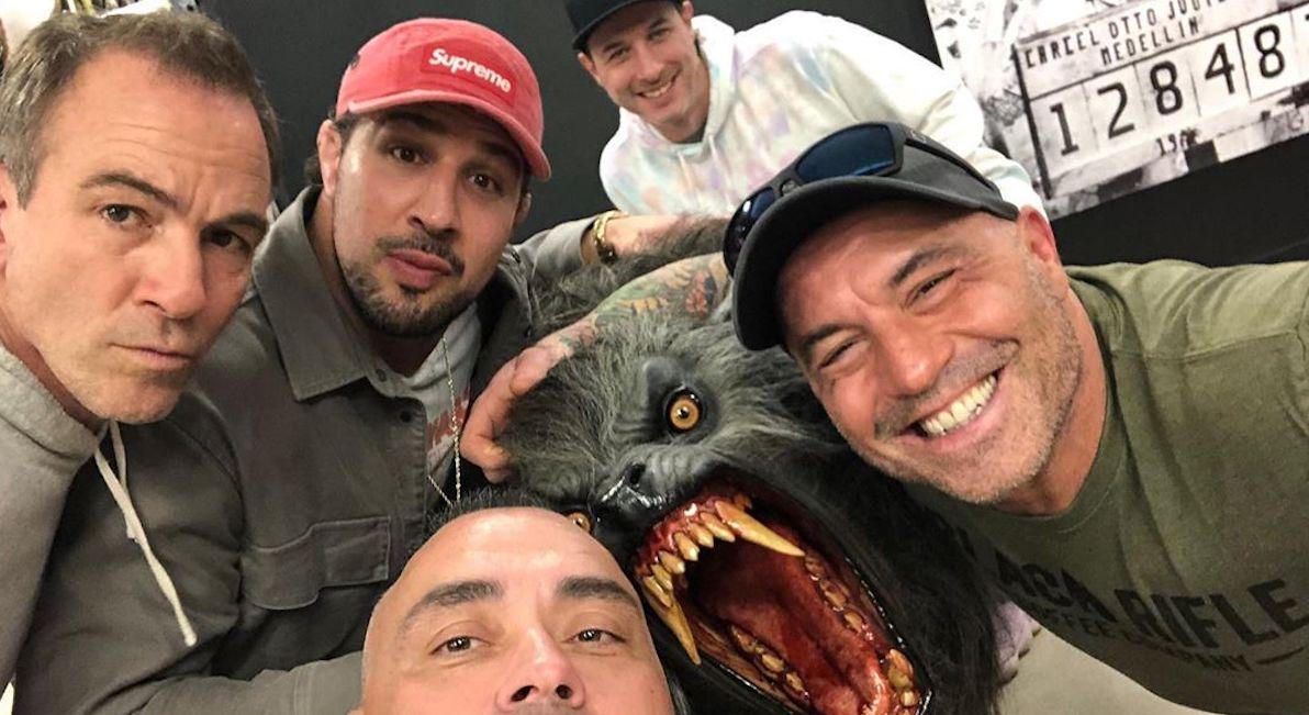 Joe Rogan Has More Than One Black Belt in Martial Arts