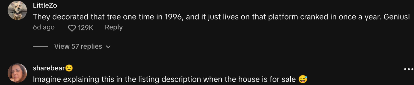 Homeowner’s Hideaway Christmas Tree Platform Stuns TikTok