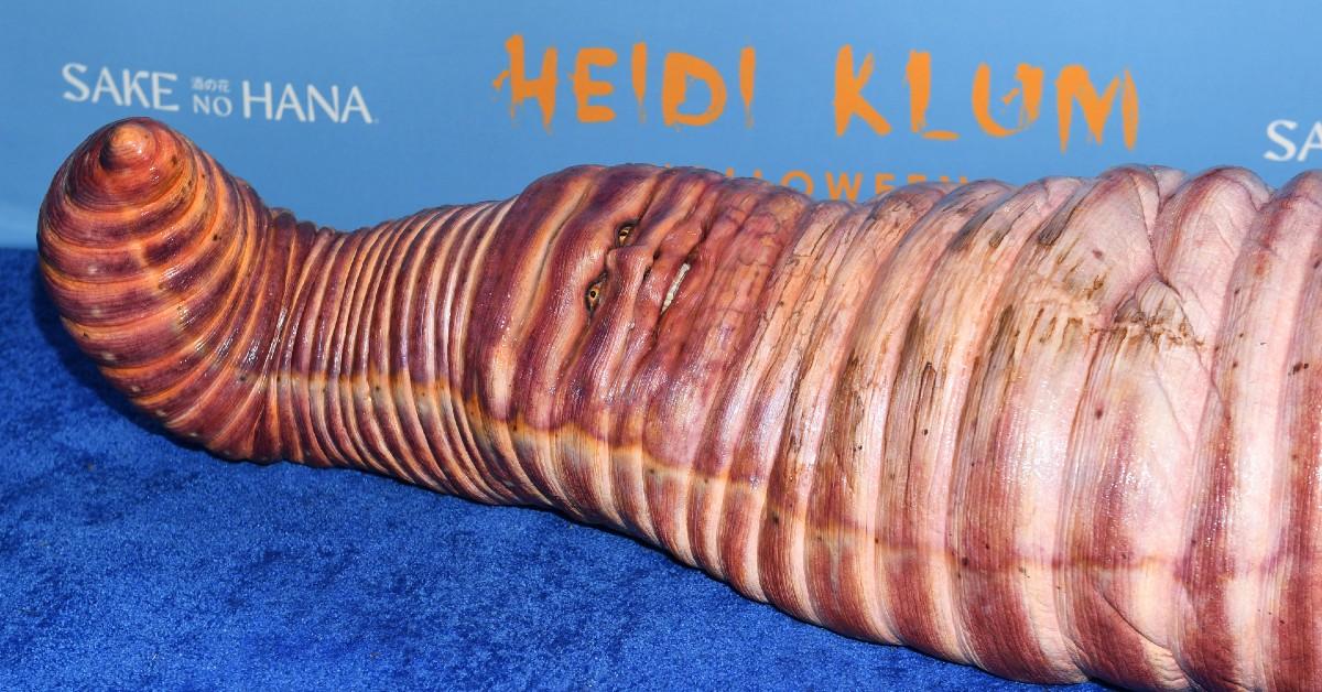 These Heidi Klum Worm Memes Will Have You in Stitches