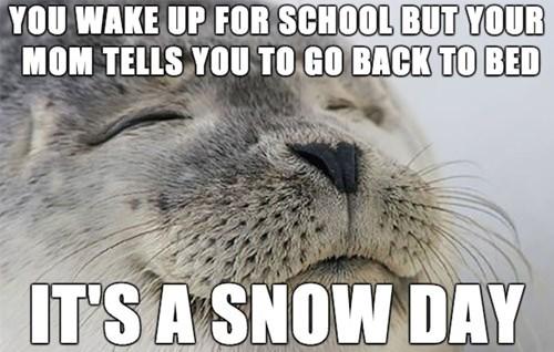 19 Snow Day Memes to Keep You Occupied While You're Stuck Inside
