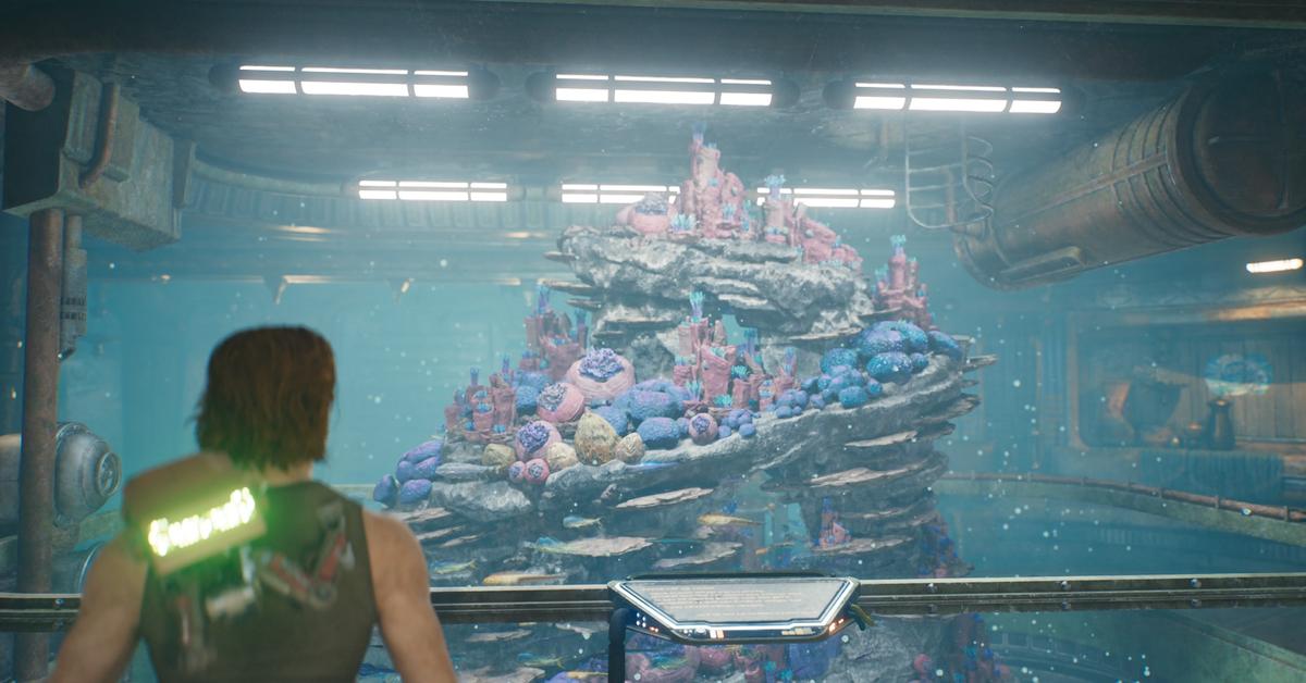 How to Clean the Fish Tank in Jedi: Survivor — Fish Locations