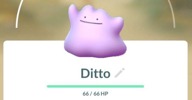 How to Catch a Ditto in 'Pokémon GO' — Where to Find It