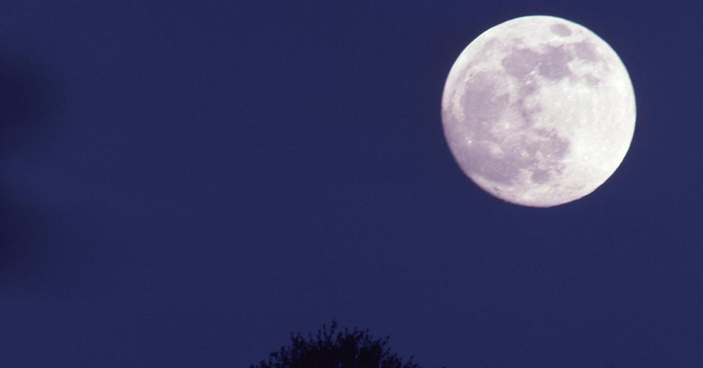 What Is a Cold Moon— and What Each Zodiac Sign Can Expect