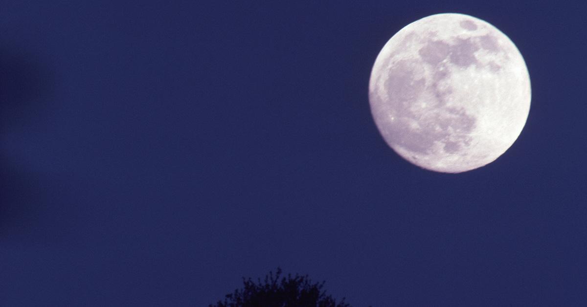 What Is a Cold Moon— and What Each Zodiac Sign Can Expect
