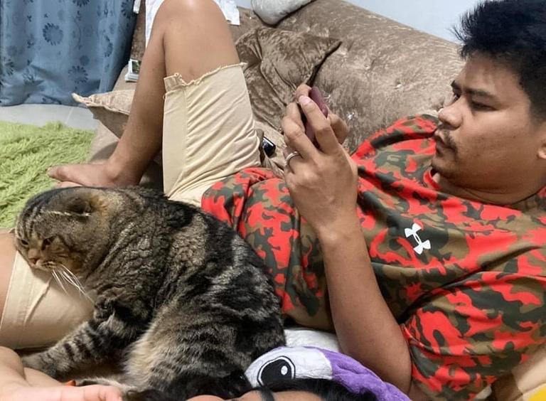 This Woman's Cat Has Stolen Her Husband From Her