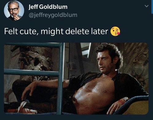 The #FeelingCuteChallenge Is the Best New Meme on the Internet, Hands Down