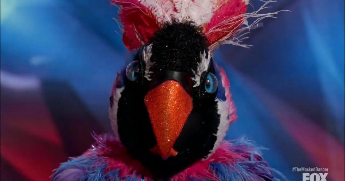 Who Is Exotic Bird on 'The Masked Dancer'? Paula Abdul Knew (SPOILERS)